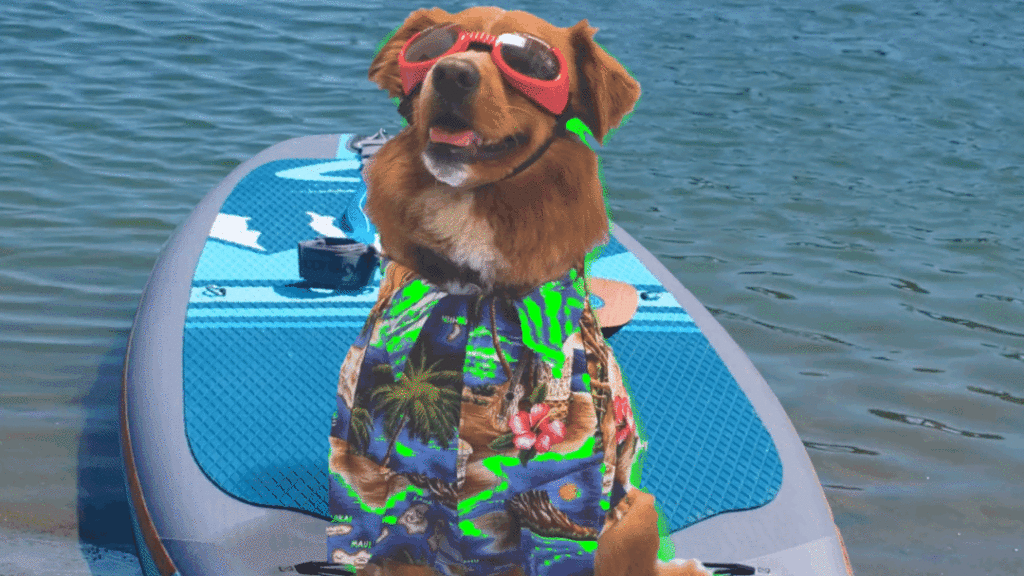 sup_dog.gif | 木崎湖モダンボート